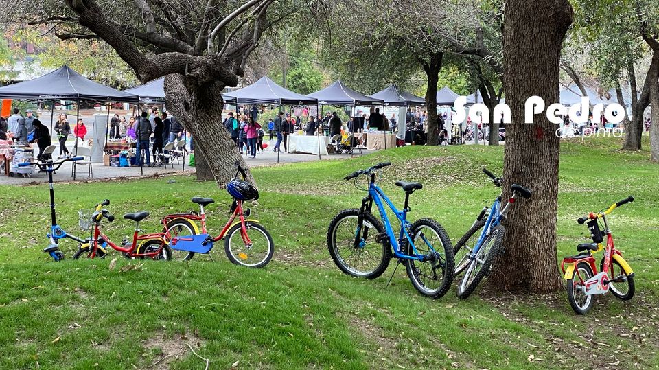 San Pedro de Pinta - Nuevo León