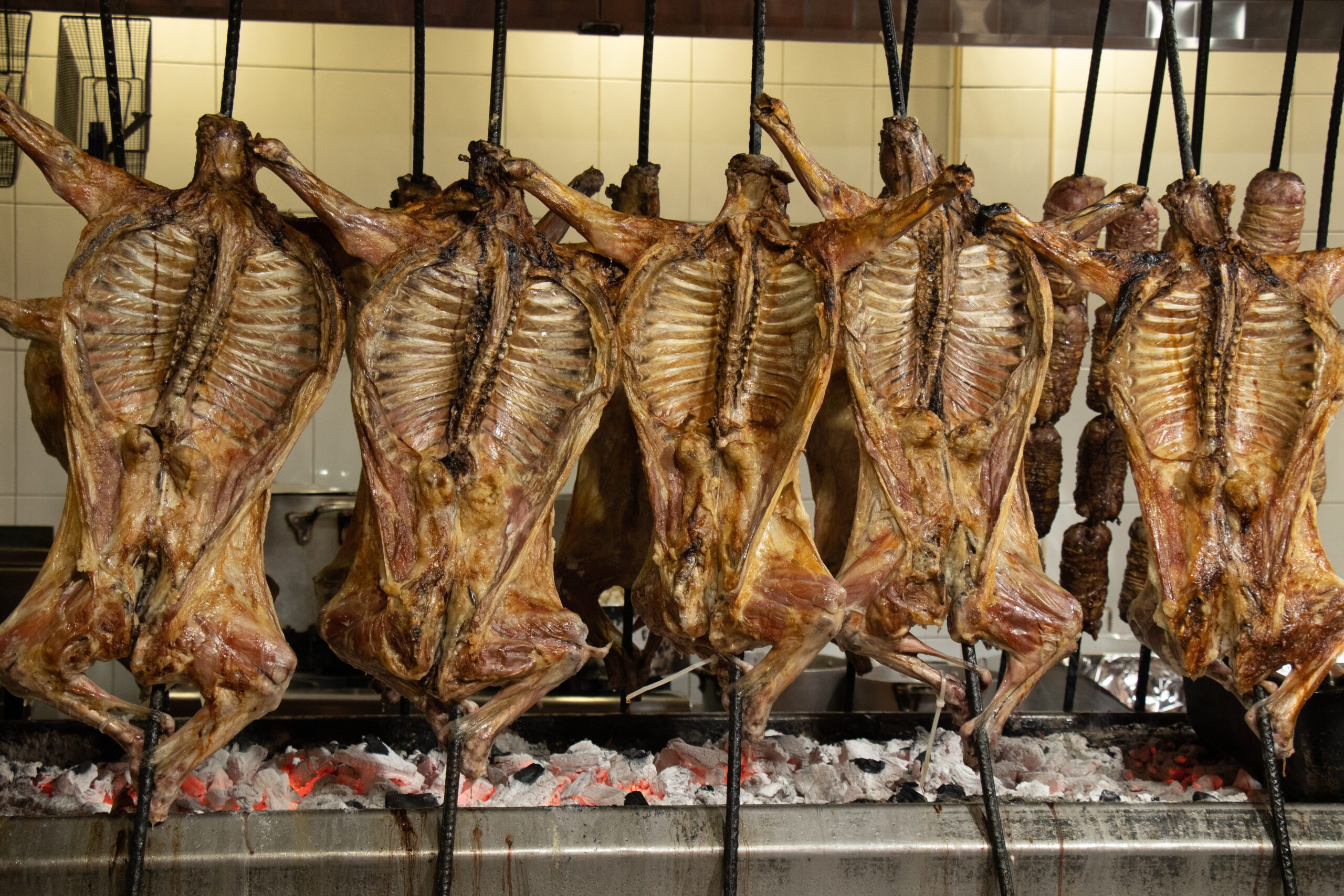 Cabrito - Nuevo León