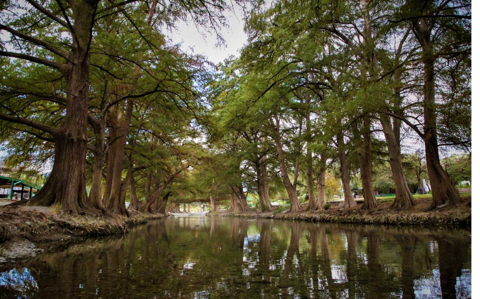 Gran Parque Guadalupe Unidad Tolteca - Nuevo León